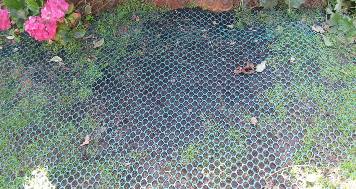 Grass Protection Mesh Prevent Grass Erosion | GCL Products Blogs