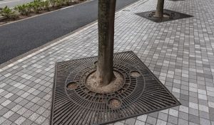 Tree Pits: All you need to know | GCL Products Blogs